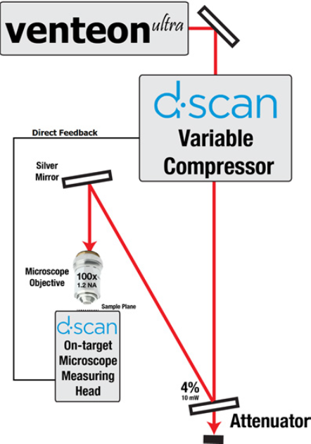 The Benefits of Ultrashort Pulses in Two-Photon Microscopy - Novanta ...